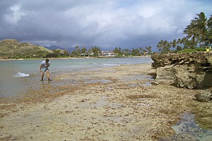 Index of /diving/oahu/